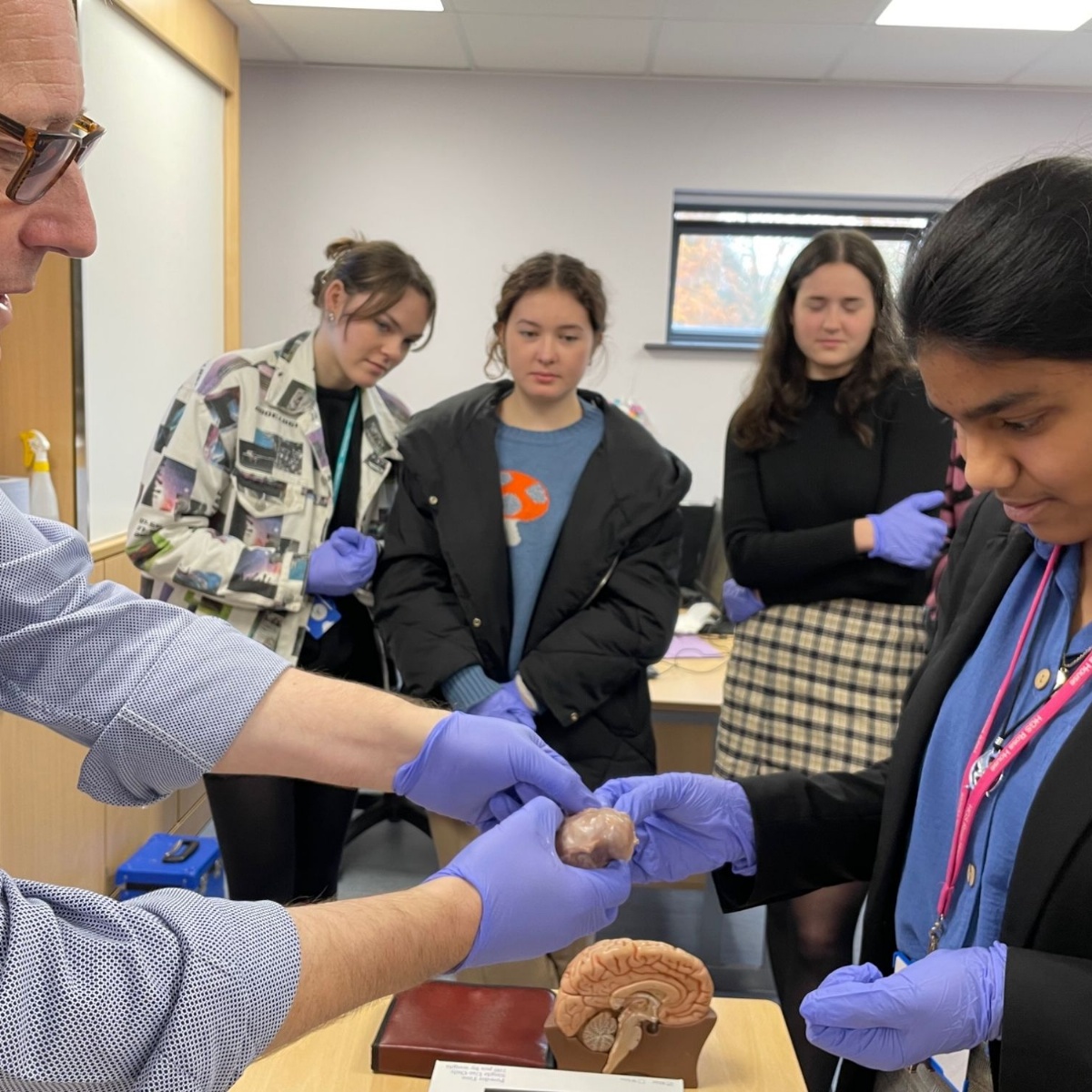 Hitchin Girls' School - A Level Psychology - Brain Day