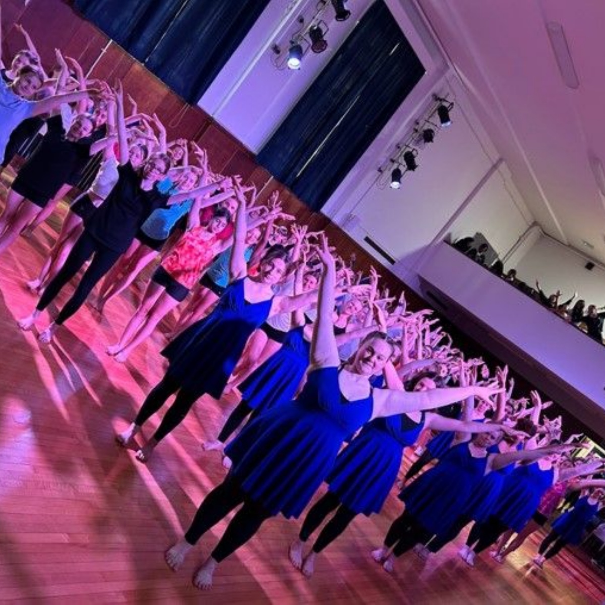 Hitchin Girls' School - Gym & Dance Display